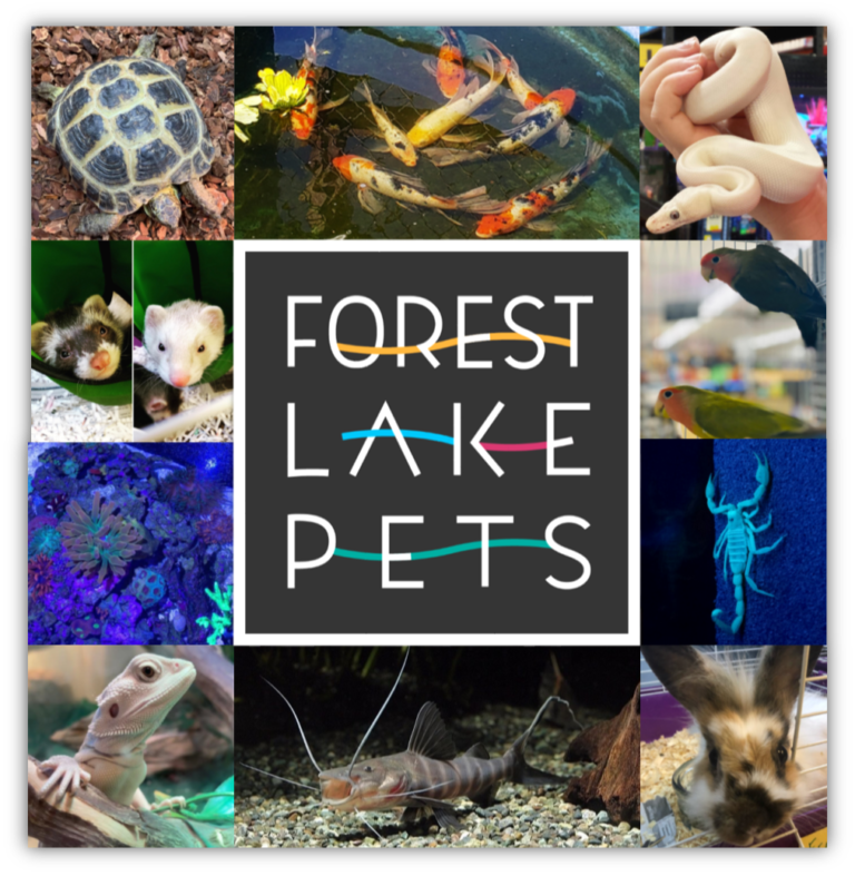 Forest Lake Pets – Minnesota’s Place for Tropical Fish