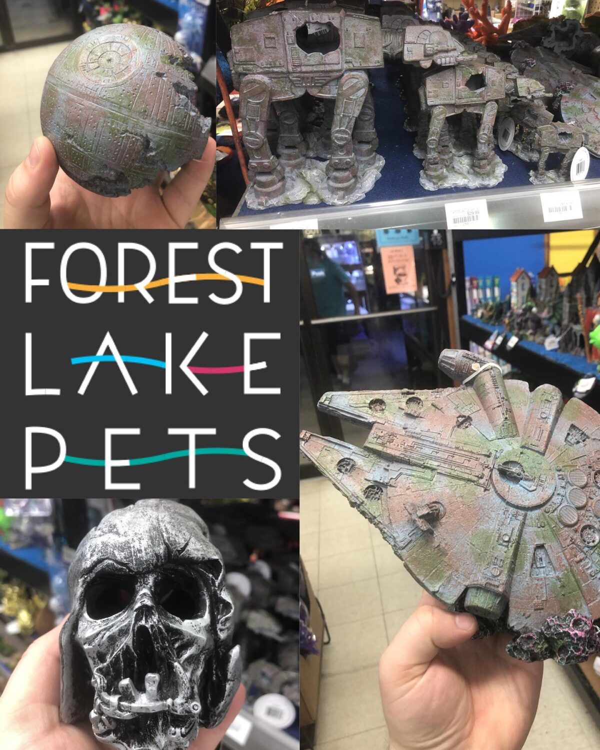 About – Forest Lake Pets